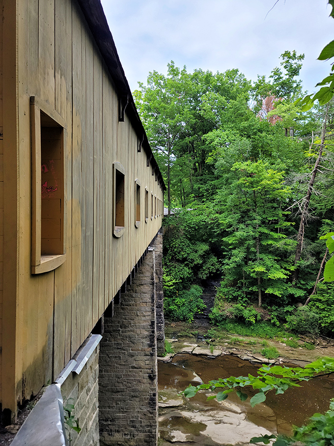 From creek level, you appreciate how those stone abutments have been shouldering their wooden burden for generations.