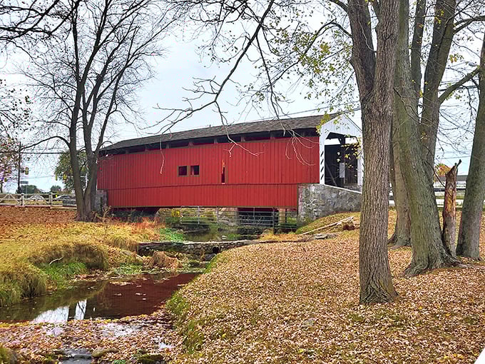 Summer's green embrace makes the bridge's red pop like a Norman Rockwell painting come to life. Some views never get old.