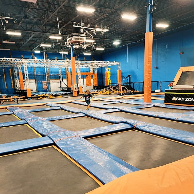 Sky Zone proves retirement in Hagerstown isn't just about rocking chairs – it's where grandparents earn cool points by outjumping their grandkids on trampolines.