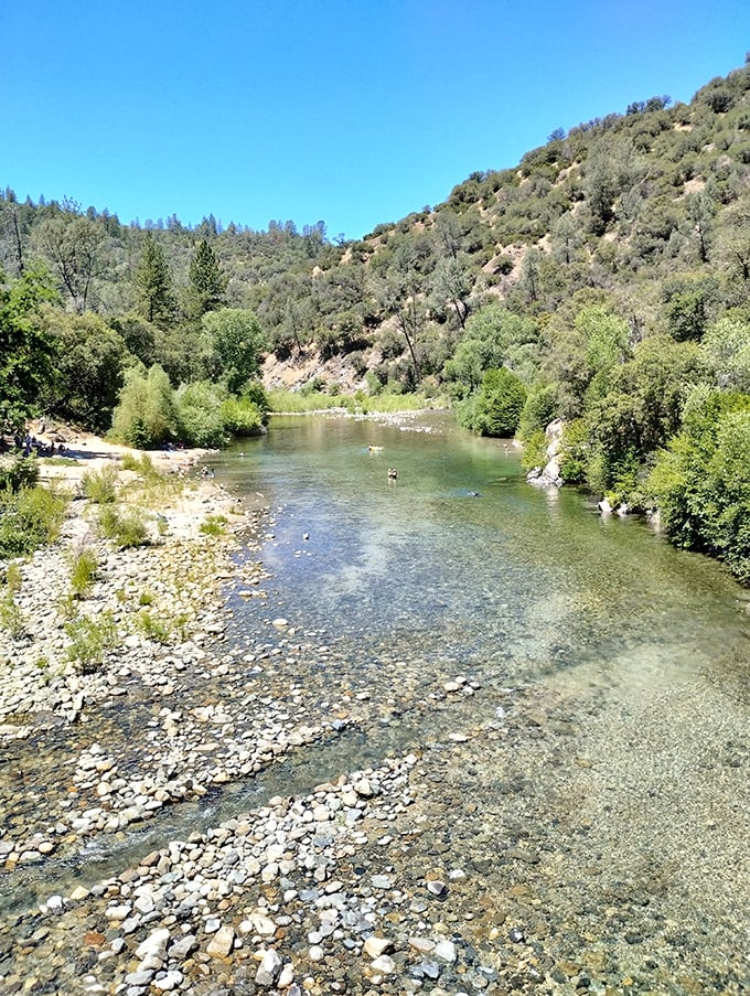 The crystal-clear South Yuba River invites you to dip your toes in waters that once lured prospectors with dreams of golden fortunes.