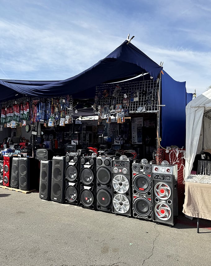 Sound systems lined up like chrome soldiers, ready to turn your backyard into the neighborhood's favorite concert venue.