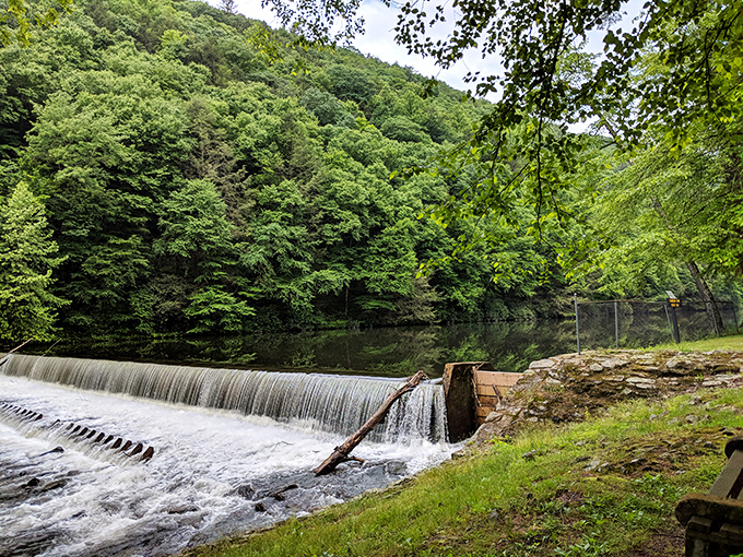 The waterfall at Sproul State Forest doesn't roar – it hums a gentle melody that's been playing on repeat since before humans walked these hills.