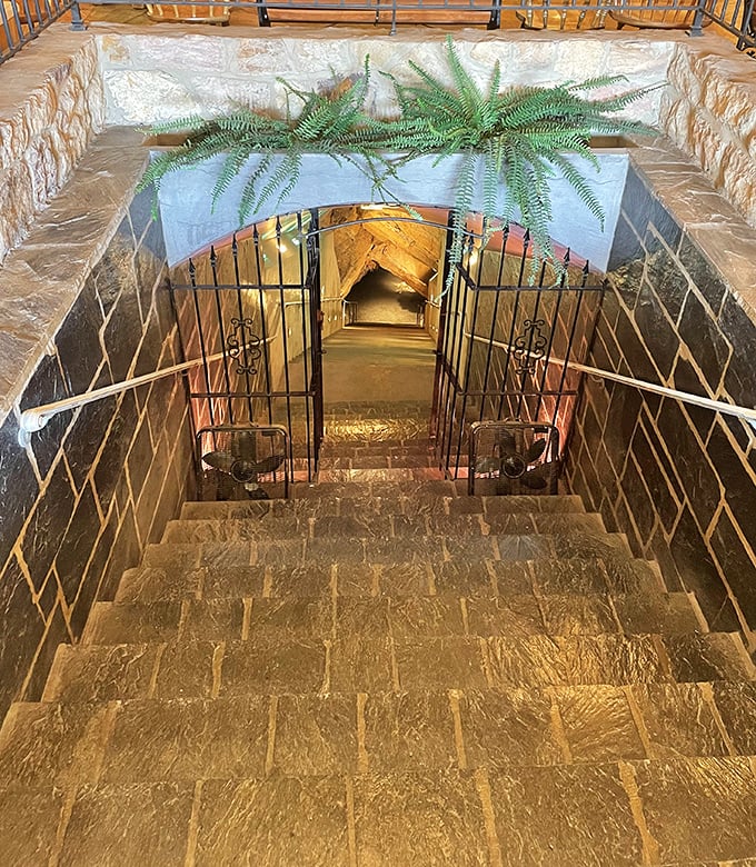 Stairway to wonder! These steps lead visitors into the earth's embrace, with decorative ferns softening the transition from above to below.