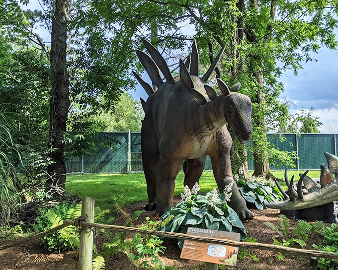 The original solar panel designer takes a break. This Stegosaurus model showcases the distinctive back plates that made these gentle giants both remarkable and instantly recognizable to dinosaur enthusiasts of all ages.