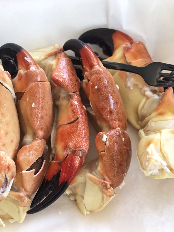Stone crab claws arranged like nature's perfect appetizer. The ocean provides the packaging, Eaton Street provides the butter. That's teamwork.