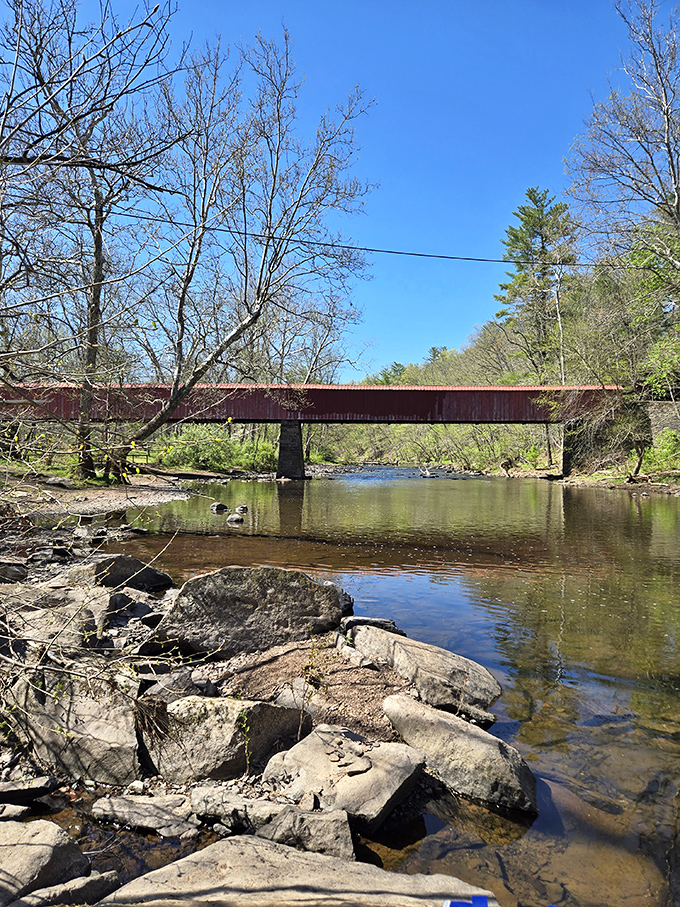 This isn't just any bridge—it's Pennsylvania's version of a postcard come to life, spanning Tohickon Creek with rustic red charm.