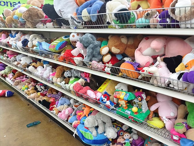 The stuffed animal section: where childhood dreams stack up in colorful piles and every teddy bear deserves a second chance at being loved.