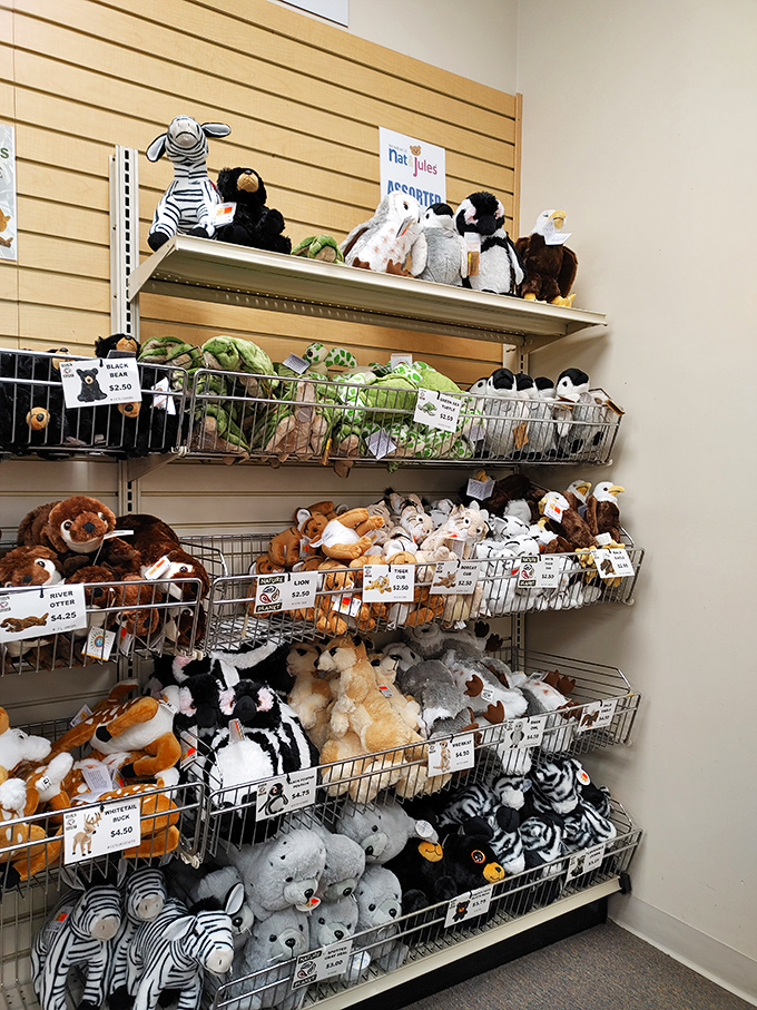 The stuffed animal section: where adults pretend they're shopping for the grandkids but secretly want that adorable penguin for themselves.