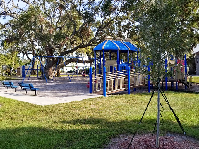 Sutton Park's playground proves you're never too old to appreciate a good swing set. Just maybe too dignified to actually use one.