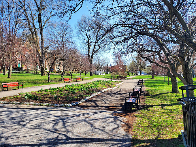 Taylor Park serves as St. Albans' community living room, where benches invite contemplation and pathways lead to unexpected conversations with neighbors.