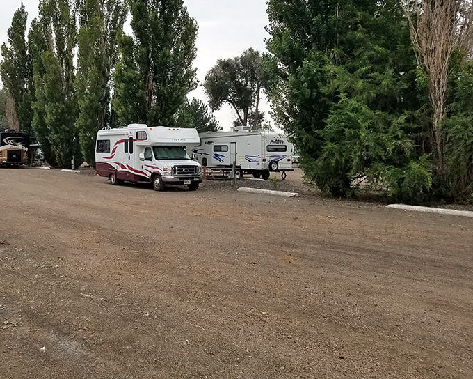 RV camping near Brush means waking up to prairie mornings without needing a reservation made six months in advance.