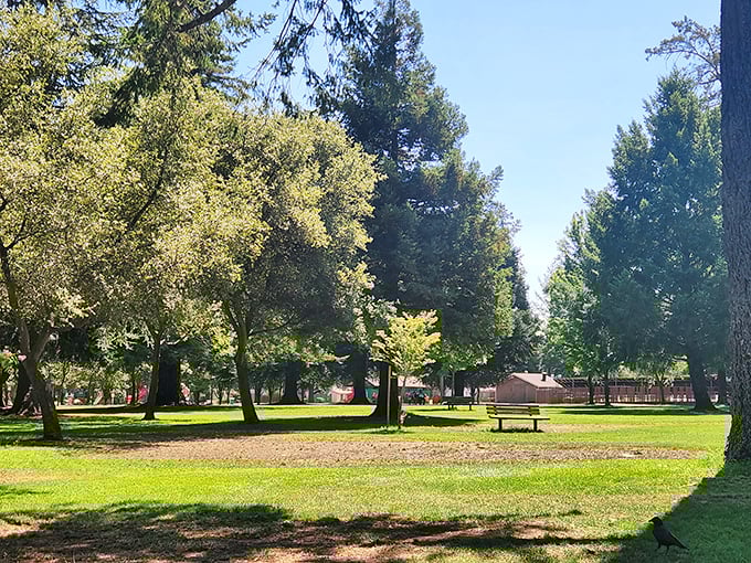 Todd Grove Park offers the perfect backdrop for contemplating life's big questions, like "Why don't I do this more often?"