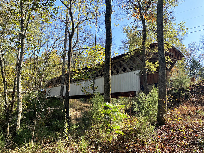 The bridge's wooden frame peeks through summer greenery, like an architectural game of hide-and-seek with the Alabama wilderness.