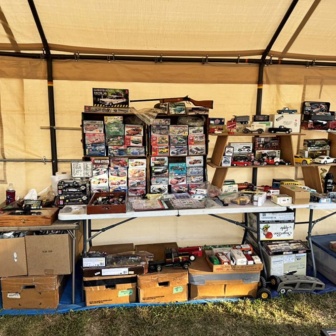 Die-cast heaven! This collector's dream display features meticulously organized model cars and trucks that transport you straight back to childhood afternoons of imaginative play.