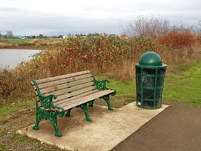 Nature's antique shop: a weathered bench overlooking Coburg's wetlands. Some treasures can't be bought&mdash;they must be experienced.