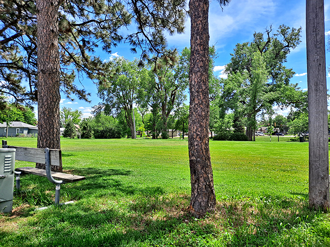 Simple pleasures reign supreme at Tripp Park, where towering pines create natural umbrellas perfect for afternoon picnics and unhurried conversations.