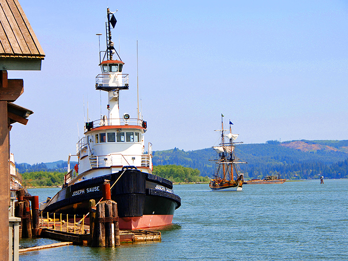 Maritime history you can touch! The tugboat Joseph Sause stands guard while a tall ship glides by&mdash;a perfect time-travel moment on Coos Bay's working waterfront.