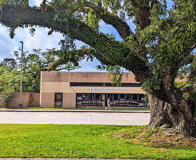 Beneath this magnificent oak, the postal service carries on. In Bay St. Louis, even running errands comes with a side of natural beauty.