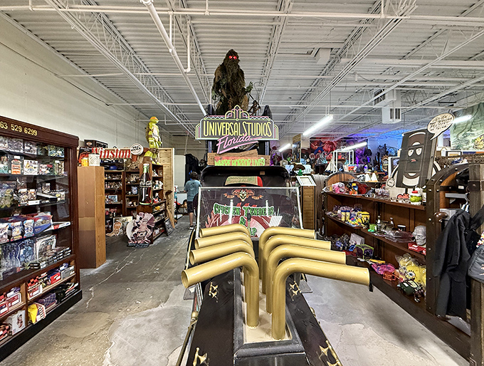 Universal Studios memorabilia that lets you bring home theme park thrills without the $15 churros or sunburn.