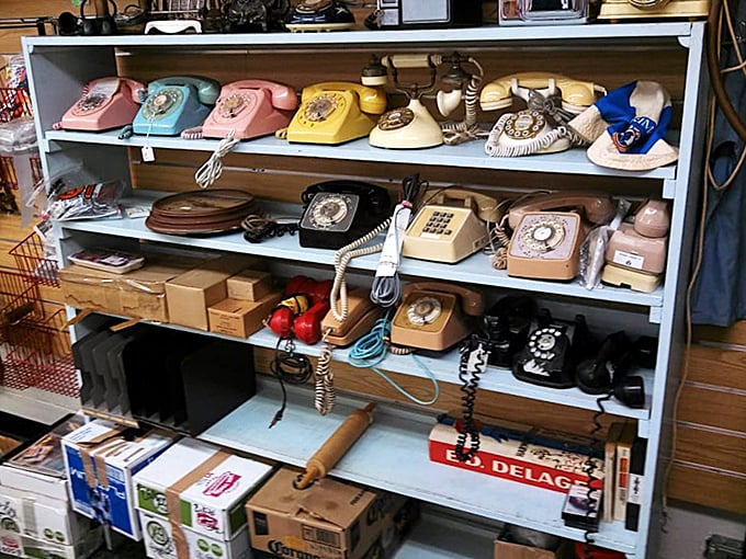 The rainbow of rotary phones feels like a time portal to when "hang up" wasn't just a figure of speech.