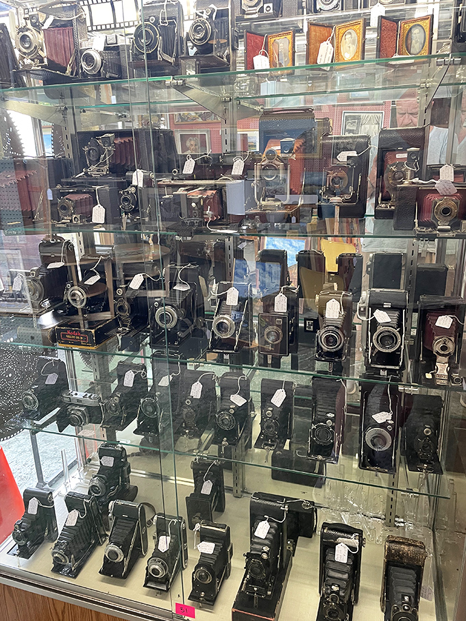 A photographer's dream or a time traveler's toolkit? These vintage cameras have captured more history than your high school textbook ever covered.