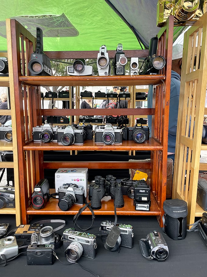 A time capsule of photography evolution sits patiently on wooden shelves. Each camera once captured someone's precious memories before becoming collectible itself.