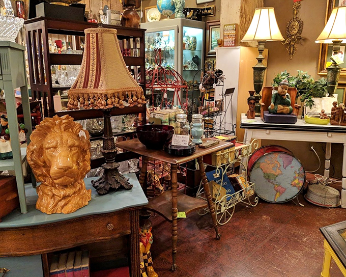A lion's head presides over this eclectic kingdom where globes spin next to lamps from every era.