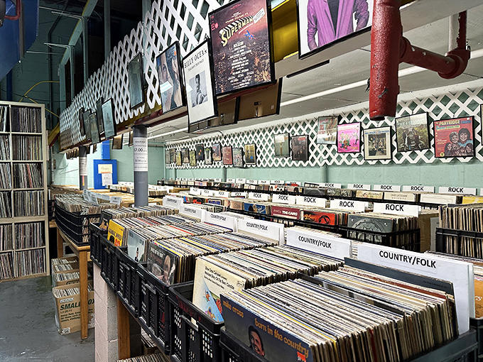 Vinyl heaven for record collectors! Flip through these alphabetized treasures and watch your afternoon&mdash;and wallet&mdash;disappear like magic.
