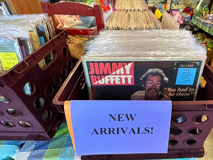 You had to be there says Jimmy Buffett from the vinyl bin. In the age of streaming, these physical albums feel rebelliously tangible.
