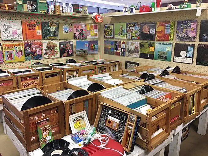 Vinyl heaven awaits crate-diggers, where forgotten albums find new life and that elusive first pressing might be hiding between "Herb Alpert" and "The Zombies."