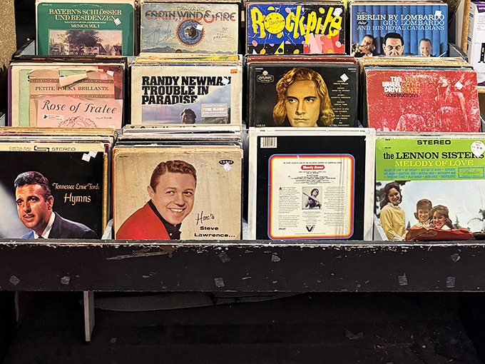 Vinyl heaven for music lovers! From Steve Lawrence to Randy Newman, these albums aren't just music – they're time machines with album art.