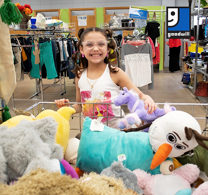 Step inside and behold the wonderland of possibilities! Rows of merchandise stretch toward the horizon like an archaeological dig of modern American life.