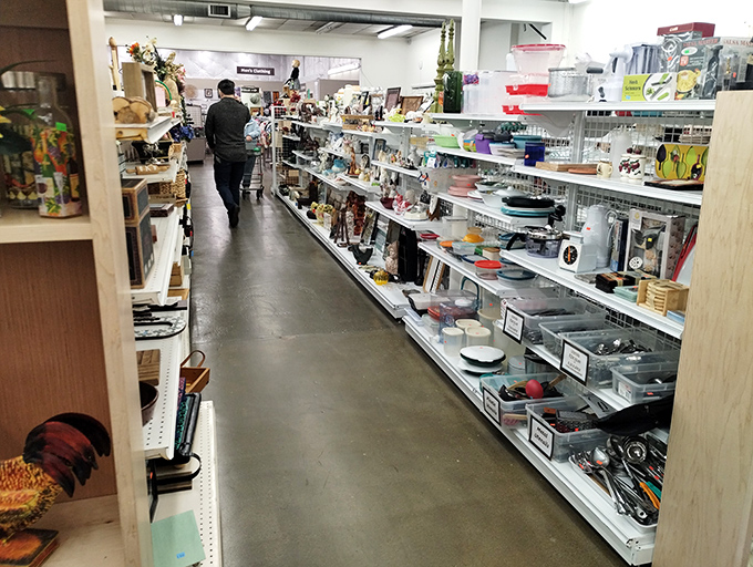 The book section rivals small-town libraries, offering literary journeys from beach reads to scholarly tomes for less than the price of a fancy coffee.