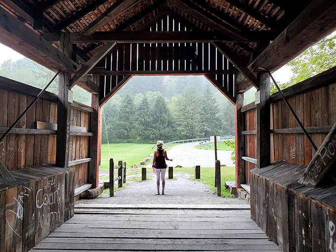 The bridge frames the outside world like a living postcard, turning an ordinary landscape into something worth remembering.
