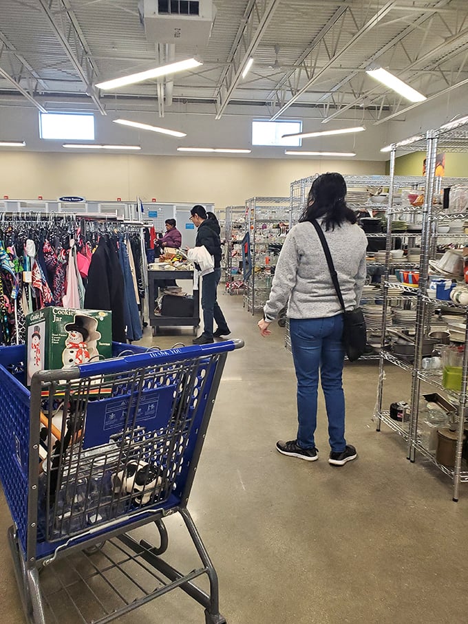 The blue cart brigade&mdash;where treasure hunters navigate aisles with the focus of archaeologists on a career-making dig.