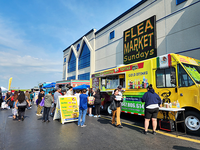 Food truck fiesta! Nothing fuels serious bargain hunting like authentic tacos and cold drinks from vendors who know flea market appetites.