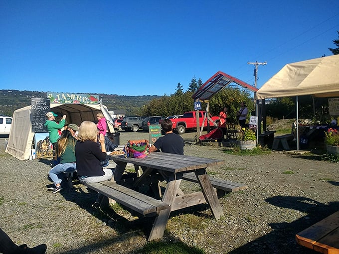 The best conversations in Homer happen at these weathered picnic tables, where strangers become friends over just-purchased treats and tales of the morning's market finds.