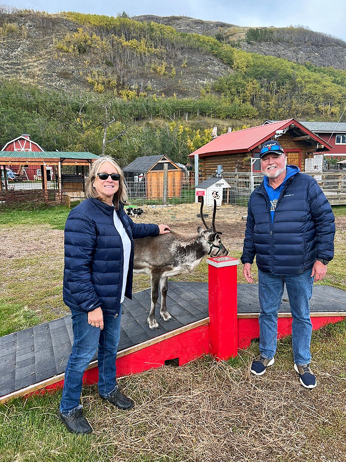 Making friends with the locals at Palmer's reindeer farm. These antlered ambassadors give new meaning to "getting up close with Alaskan wildlife."