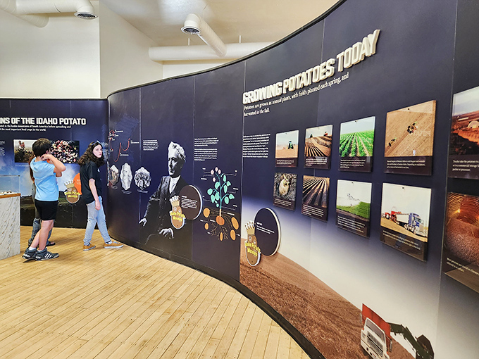 Visitors explore the "Growing Potatoes Today" exhibit, discovering why Idaho's volcanic soil creates the perfect potato playground.
