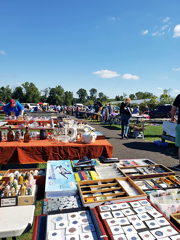 The thrill of the hunt brings shoppers of all ages to Rice's, where one person's castoffs become another's conversation pieces.