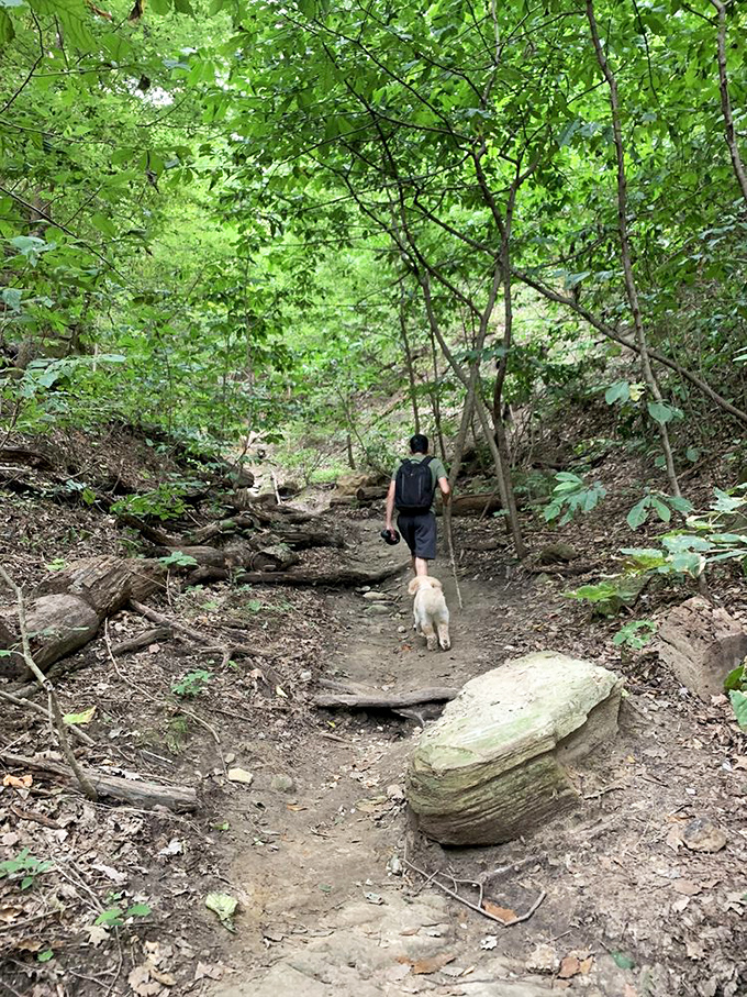 Hiking trails at Indian Cave offer the perfect blend of wilderness adventure and accessibility&mdash;like nature's version of "choose your own difficulty level."