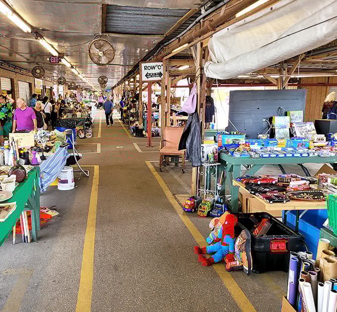 The wide, organized aisles invite exploration, with each stall offering its own universe of possibilities and peculiar finds.