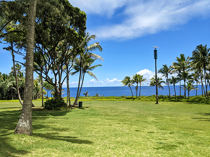 The kind of oceanfront property that doesn't come with a mortgage &ndash; just bring a beach towel and your sense of wonder.