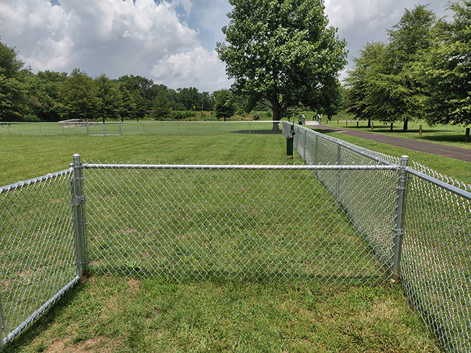 Even Wartrace's green spaces speak to simpler pleasures—a place where dogs and their humans find common ground in the universal joy of open fields.