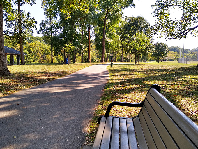 Wasena Park's tranquil paths offer the perfect antidote to doomscrolling&mdash;a place where the only notifications are birdsong and rustling leaves.
