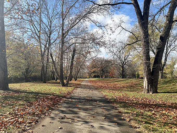 Fall's golden hour transforms this trail into a cathedral of leaves. Walking here is like stepping into a Norman Rockwell painting come to life.