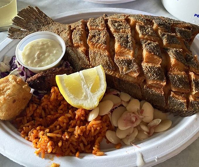 Behold the legendary fried flounder in all its golden-crusted glory, served with the perfect Southern trinity: red rice, lima beans, and a hushpuppy that's practically begging to be devoured.