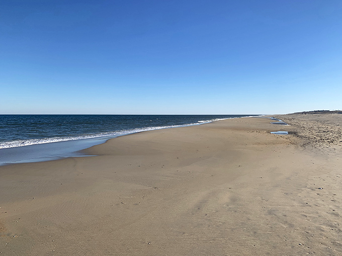 Miles of pristine sand stretch endlessly, like nature's own private runway for seagulls and dreamers.