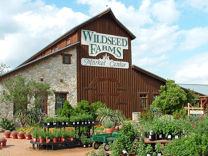 Wildseed Farms isn't just growing flowers; it's cultivating joy. Their Market Center is the mothership for wildflower enthusiasts everywhere.