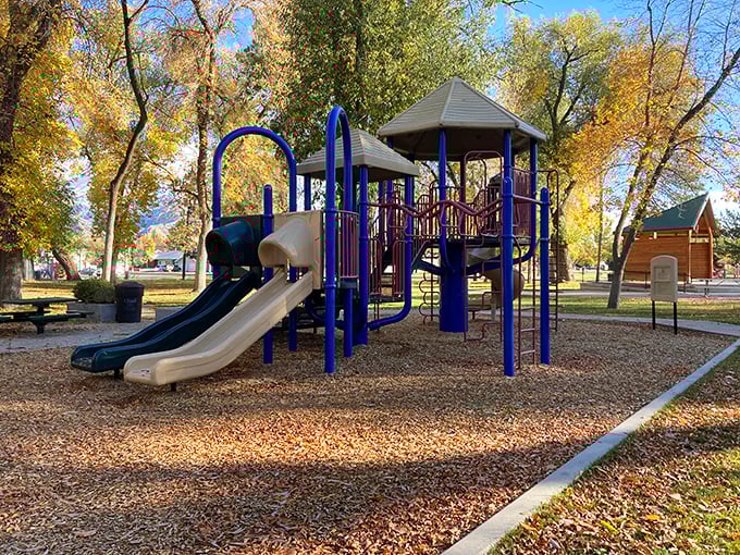 Childhood laughter echoes through Willow Park's playground, where grandparents discover their knees still work well enough for one more trip down the slide.